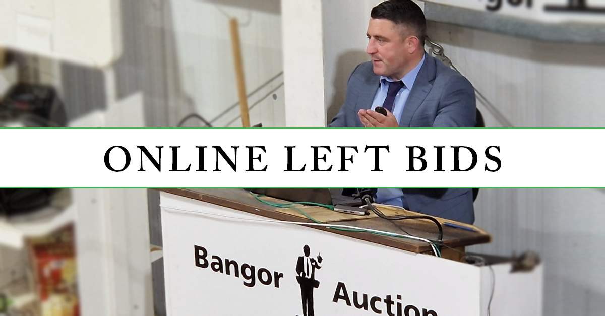 Bangor Auctions Ltd. - Catalogue - Bangor Auctions Ltd.